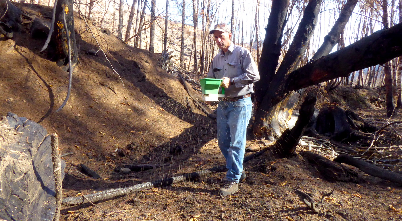 Passport to Green – Eugene Magazine